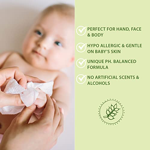 WBM Care Unscented Baby Wipes-12 Flip-Top Pack, (576 Total), 12 Count