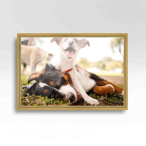 27x38 Frame Gold Real Wood Picture Frame Width 0.75 Inches | Interior Frame Depth 0.5 Inches | Liscio Oro Traditional Photo Frame Complete with UV Acrylic, Foam Board Backing & Hanging Hardware