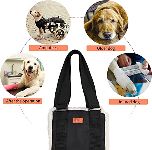 4-120 lbs Dog Lift Harness Adjustable Dog Sling for Large Dogs Lift Support and Rehab Harness for Weak Rear Legs, Soft Hind Leg Support Helps Senior, Injured, Disabled and After ACL Surgery (Large)