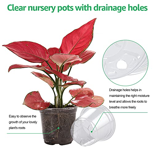 36 Packs 5/4/3.5 Inch Reinforced Clear Nursery Pots with Drainage Hole, Transparent Nursery Pots Variety Pack Plastic Plant Pot Seedling Planter Seed Starter Pots Flower Pot with 20pcs Plant Labels