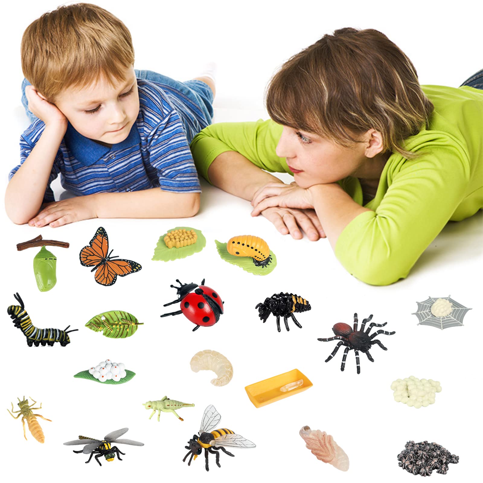 20 PCS Life Cycle Figurines of Butterfly Spider Bee Ladybug Dragonfly, Plastic Insect Bug Figures Toy Kit, Early Education Growth Stage Model Biology Science Toys School Project for Kids Toddlers