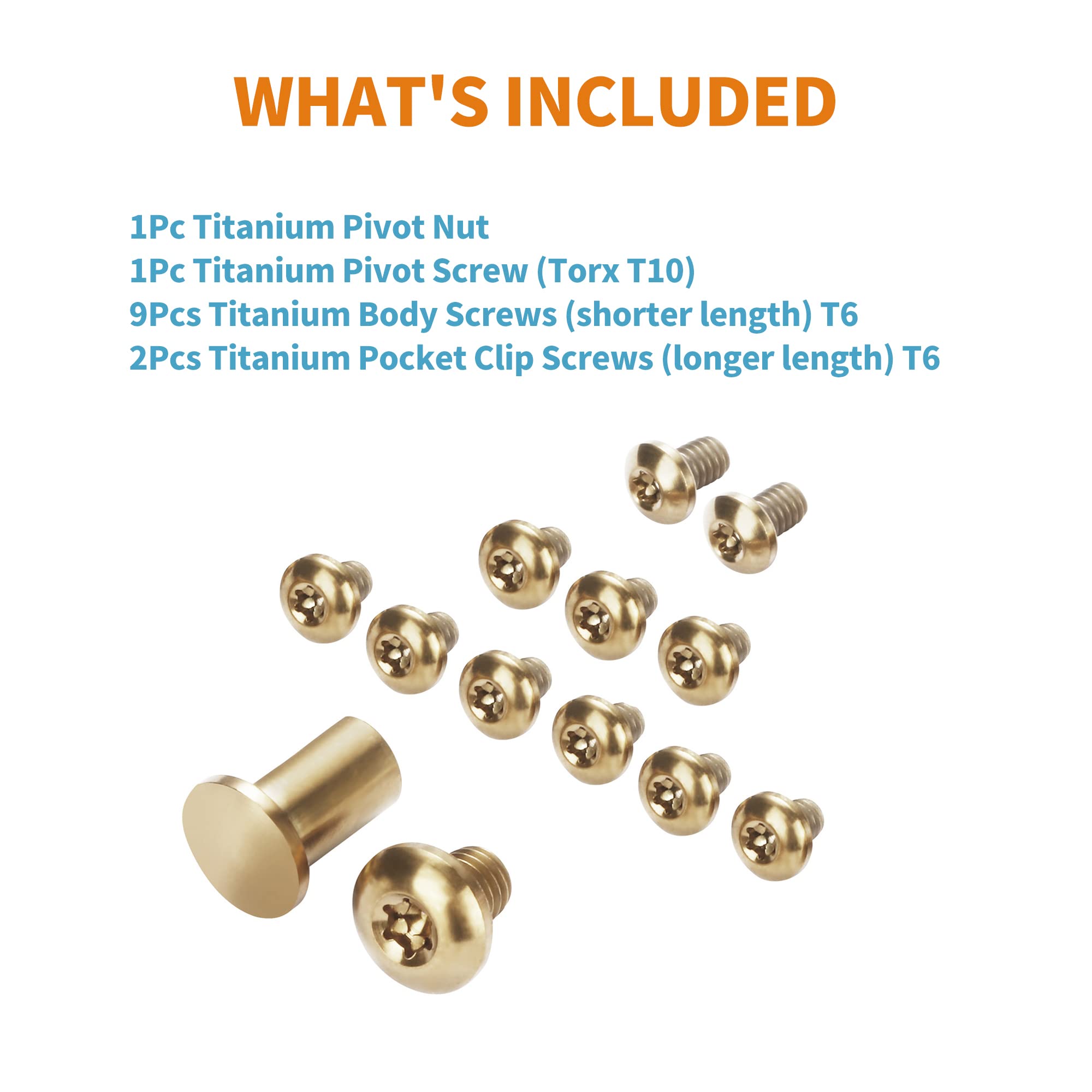 13Pcs Complete Titanium Screw and Pivot Dress Kit for Benchmade 535 Bugout, Mini Bugout 533 and Bailout 537, Includes Handle and Pocket Clip Screws, Gold