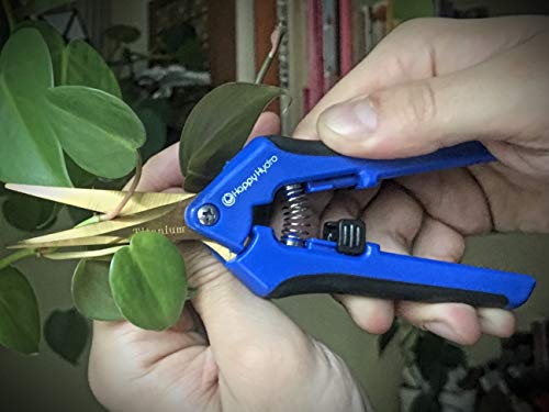 2 Pack Curved Tip Trimming Scissors with Spring-Loaded Comfort Grip Handles and Titanium Coated Blades