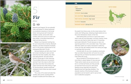 100 Plants to Feed the Birds: Turn Your Home Garden into a Healthy Bird Habitat
