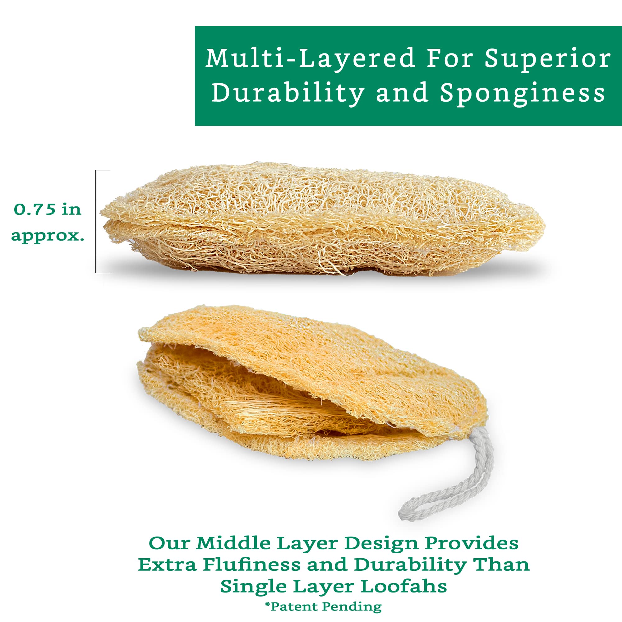 Natural Loofah Exfoliating Sponge (4 Pack) - Loofa Exfoliating Body Scrubber - Biodegradable Organic Loofah Sponge - Shower Luffa Sponges - Shower Lufa - Estropajos para el Cuerpo