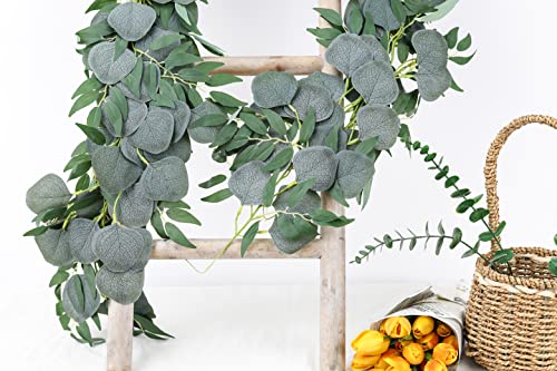 10 Pcs 6.2 Feet Artificial Silver Dollar Eucalyptus Leaves Garland with Willow Vines Twigs Leaves String for Doorways Greenery Garland Table Runner Garland Indoor Outdoor.…