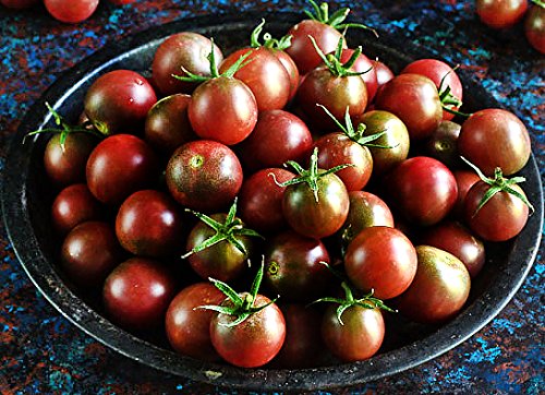 30+ Black Cherry Tomato Seeds, Heirloom Non-GMO, Low Acid, Indeterminate, Open-Pollinated, Sweet, Productive, from USA