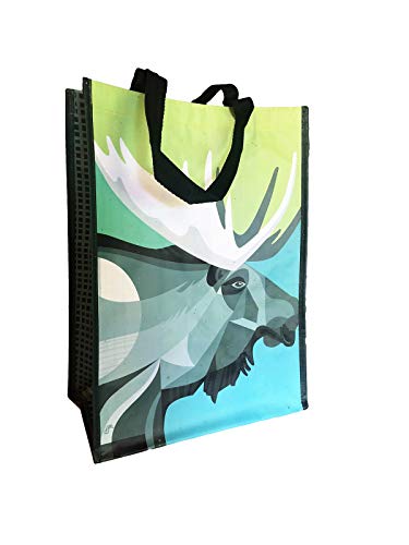 Foremost Reusable Bag Standard Size Artist Series 4 Pack, Multicolor, (74014)
