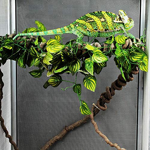 Hamiledyi Bearded Dragon Hammock Reptile Coconut Shell Bendable Jungle Climbing Vine and Leaves with Suction Cup Habitat Decor Accessories for Gecko Snakes Lizards and Chameleon(4Pcs)