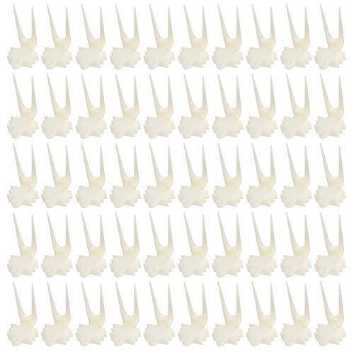 Bird Fruit Fork, 50PCS Plastic Birdcage Fruit Holder Parrot Feeding Fork Birds Food Feeder Tool Accessory for Parrots Hamster(Bird Fruit Fork)