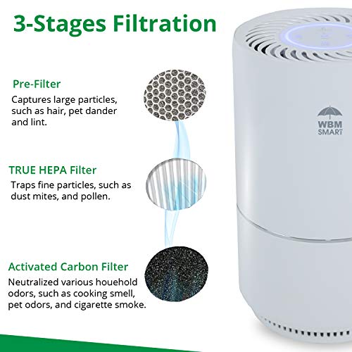HEPA Filter Air Purifier for Extra Large Room, 25db Quiet Cleaner for Virus, Bacteria, Pollen, Smoke, Dust, White