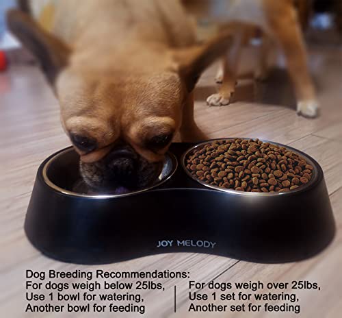 Joy Melody Cat Bowls with Stand for Food and Water, Anti-Slip Elevated Small Dog Dish, Anti-Flip Raised Pet Feeder, Dishwasher Safe with Microfiber Cloth