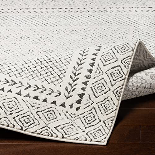 Artistic Weavers Melodie Boho Farmhouse Runner Area Rug,2'7" x 10',Beige