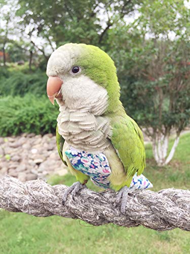 HEZHUO Parrot Diapers, Bird Flight Suits, Bird Suits, Reusable Waterproof Diapers, pet Bird Supplies (M, Pink)