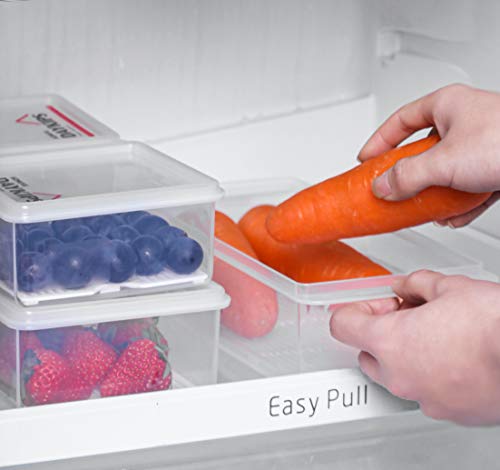 Komax Daykips Berry Containers for Fridge | (Set of 3) lettuce keeper for fridge | Produce Storage BPA-Free Freezer and Fridge Organizers with Dripping Tray | Salad Keeper