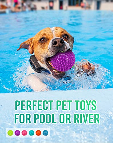 2.5" Squeaky Dog Balls for Small Medium Dogs, 6 Pack Small Dog Chew Toys with Spike, Puppy Toys for Teeth Cleaning and Training