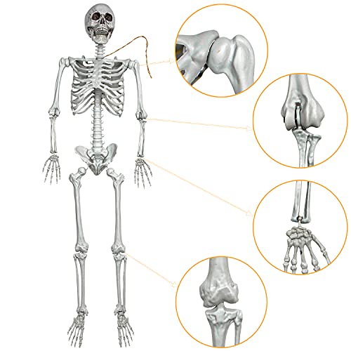 5.4ft/165cm Halloween Skeleton - Halloween Human Skeletons Full Body Bones with Movable Joints for Halloween Props Spooky Party Decoration