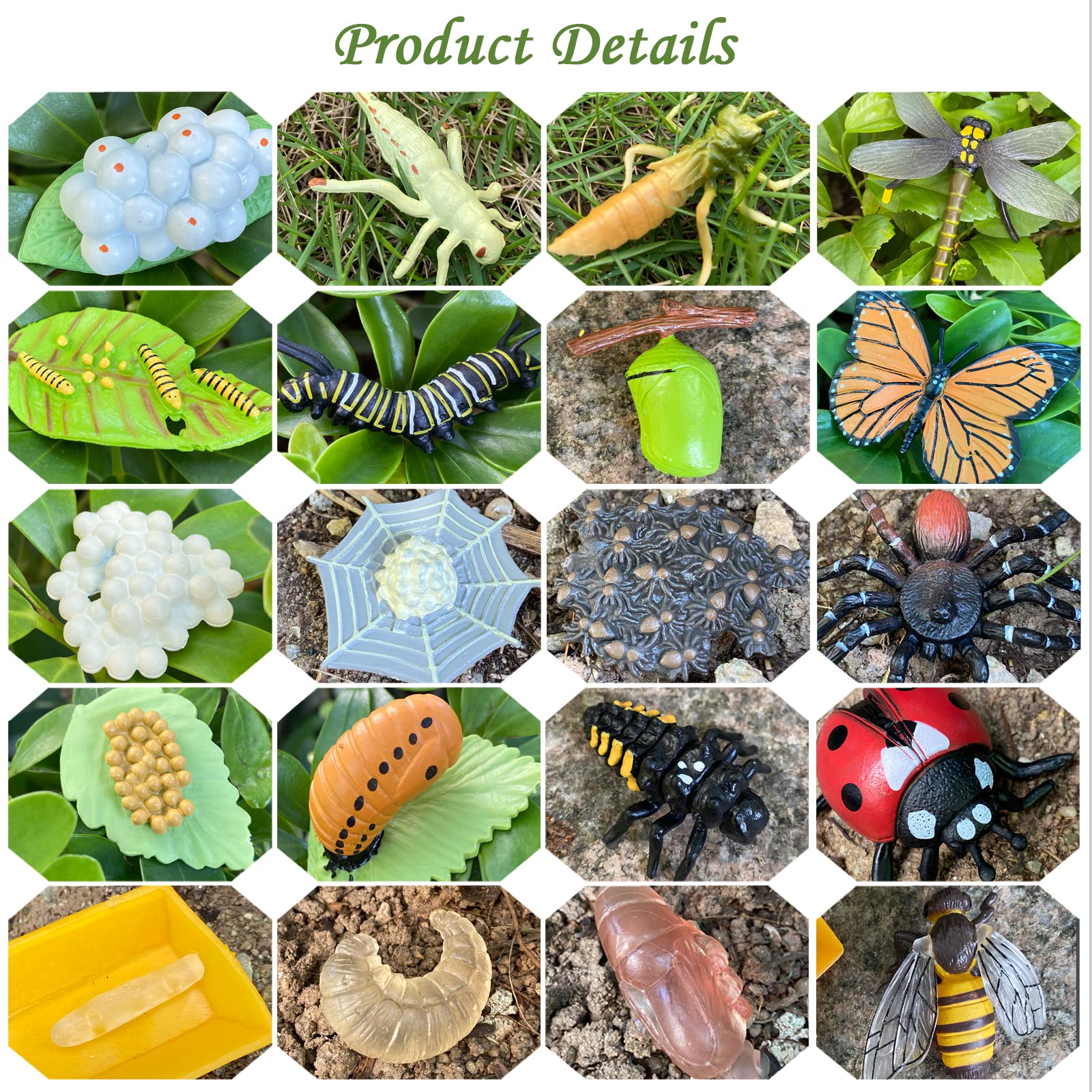 20 PCS Life Cycle Figurines of Butterfly Spider Bee Ladybug Dragonfly, Plastic Insect Bug Figures Toy Kit, Early Education Growth Stage Model Biology Science Toys School Project for Kids Toddlers