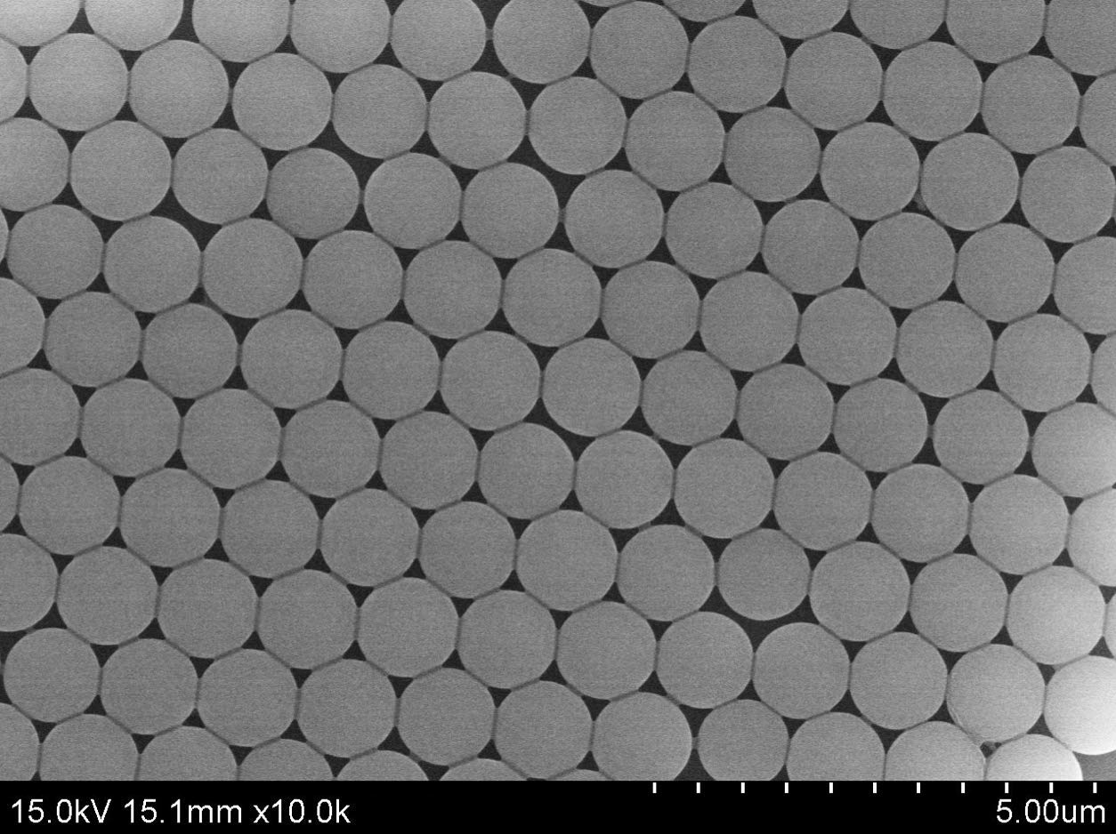 Alpha Nanotech PMMA Nano-/Microspheres 10 ml (300 nm - 50 um) (10 mg/ml, 10 ml, 20 um)
