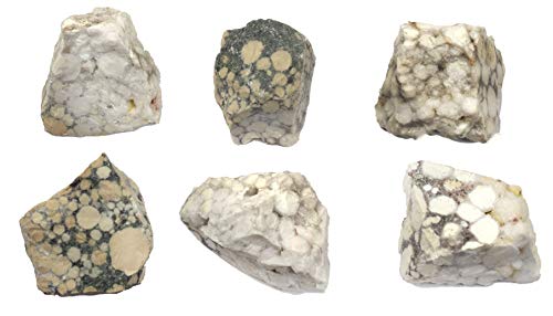 6PK Raw Conglomerate, Sedimentary Rock Specimens - Approx. 1" - Geologist Selected & Hand Processed - Great for Science Classrooms - Class Pack - Eisco Labs