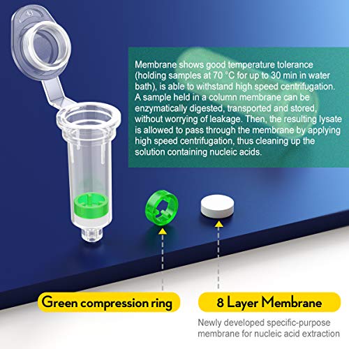 50Pcs 2mL Spin Column Micro centrifuge Tube Nucleic Acid Purification Column for Genomic DNA/RNA Purification, High Speed Plasmid Column & Collection Tube Kit by Biomed Scientific