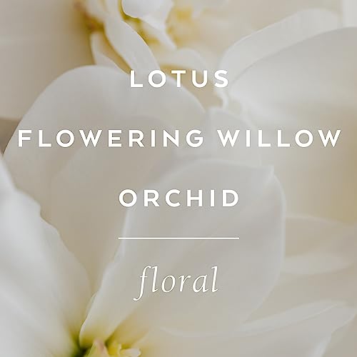 LOLLIA Imagine Eau de Parfum, 3.4 fl. oz. - Flowering Willow & Lotus – Beautifully Captivating Perfume, Women’s Perfume, Eau de Parfum Spray for Women, Women’s Fragrance