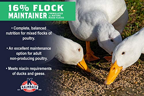 16% Flock Maintainer Pelleted Feed for Mixed Flocks of Poultry, 50 lb Bag