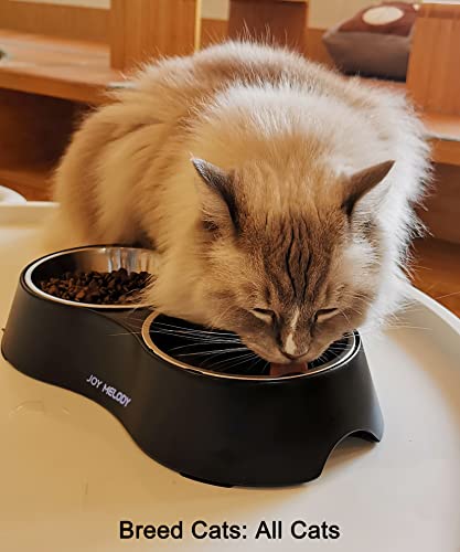 Joy Melody Cat Bowls with Stand for Food and Water, Anti-Slip Elevated Small Dog Dish, Anti-Flip Raised Pet Feeder, Dishwasher Safe with Microfiber Cloth