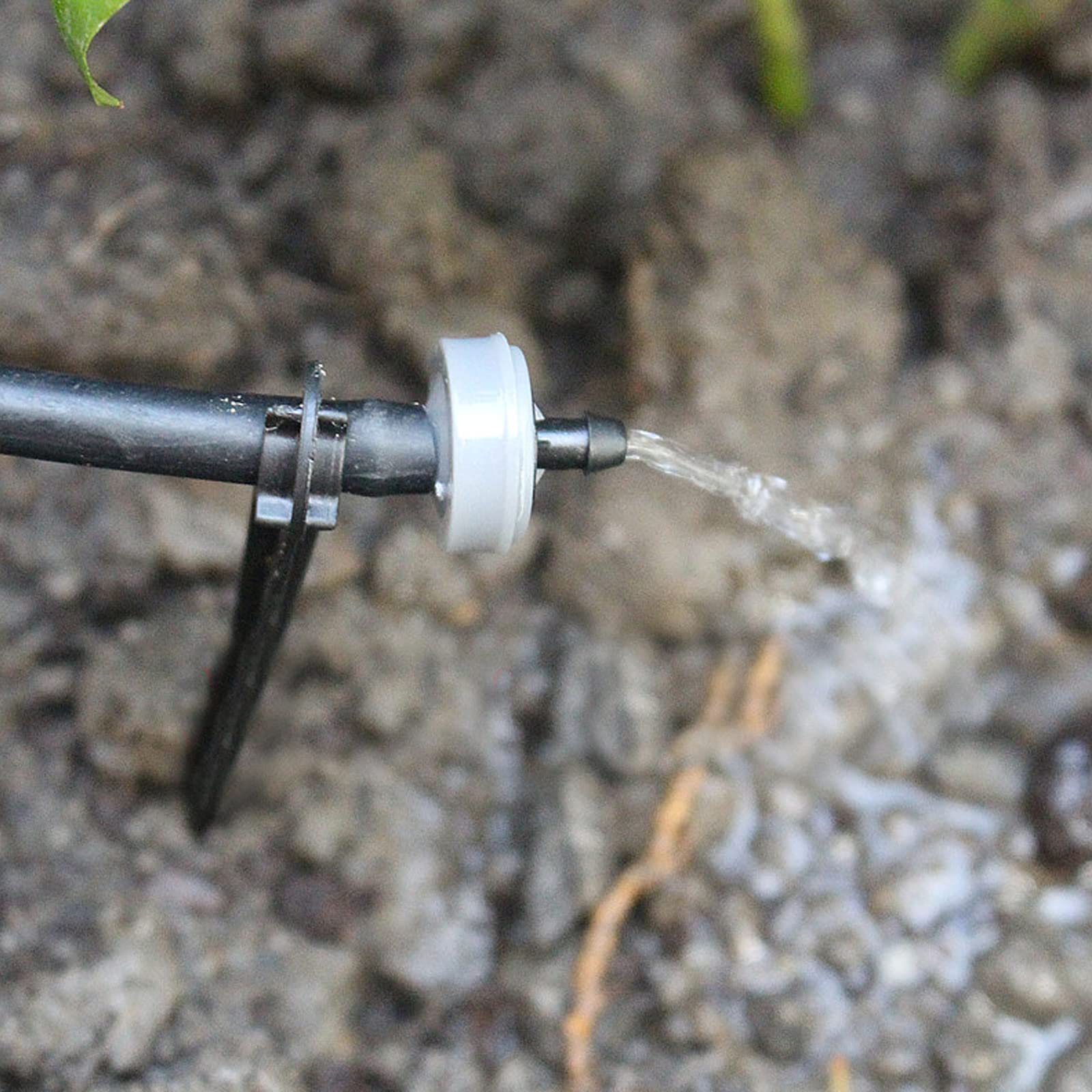 Lxcom Lighting 1 Gallon Drip Emitters Pressure Compensating Irrigation Drippers Steady Flow Drippers Irrigation Emitters for Home Agricultural Garden Lawn,50 Pack(Gray)