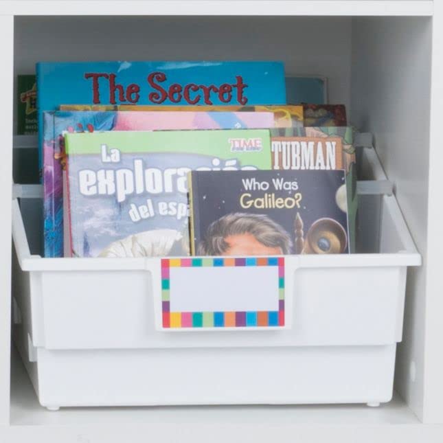 4-Pack Single-Color Picture Book Classroom Library Bins™ with Dividers