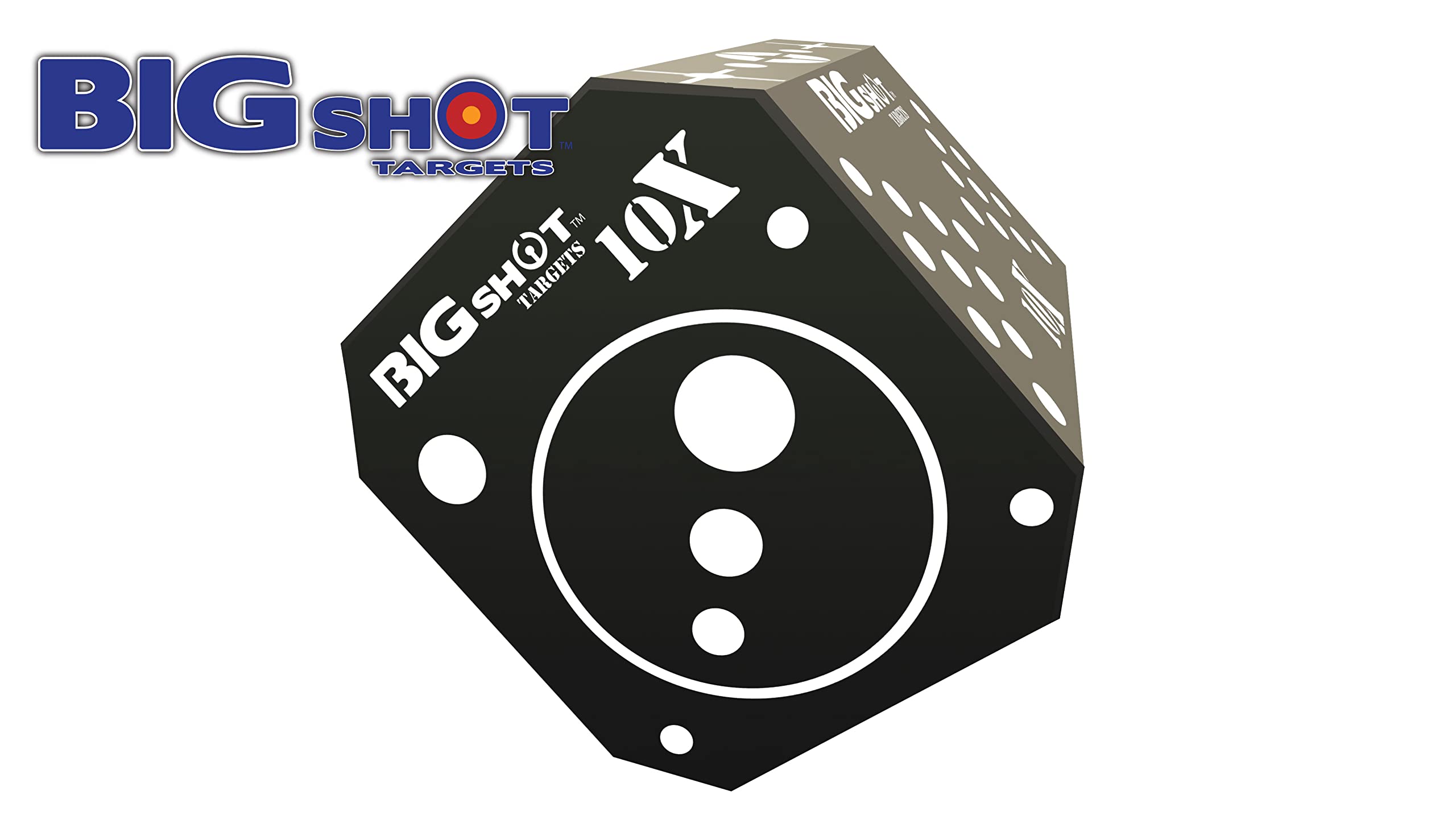 10X Archery Broadhead Target - 10 Sided with Over 150 Aiming Points