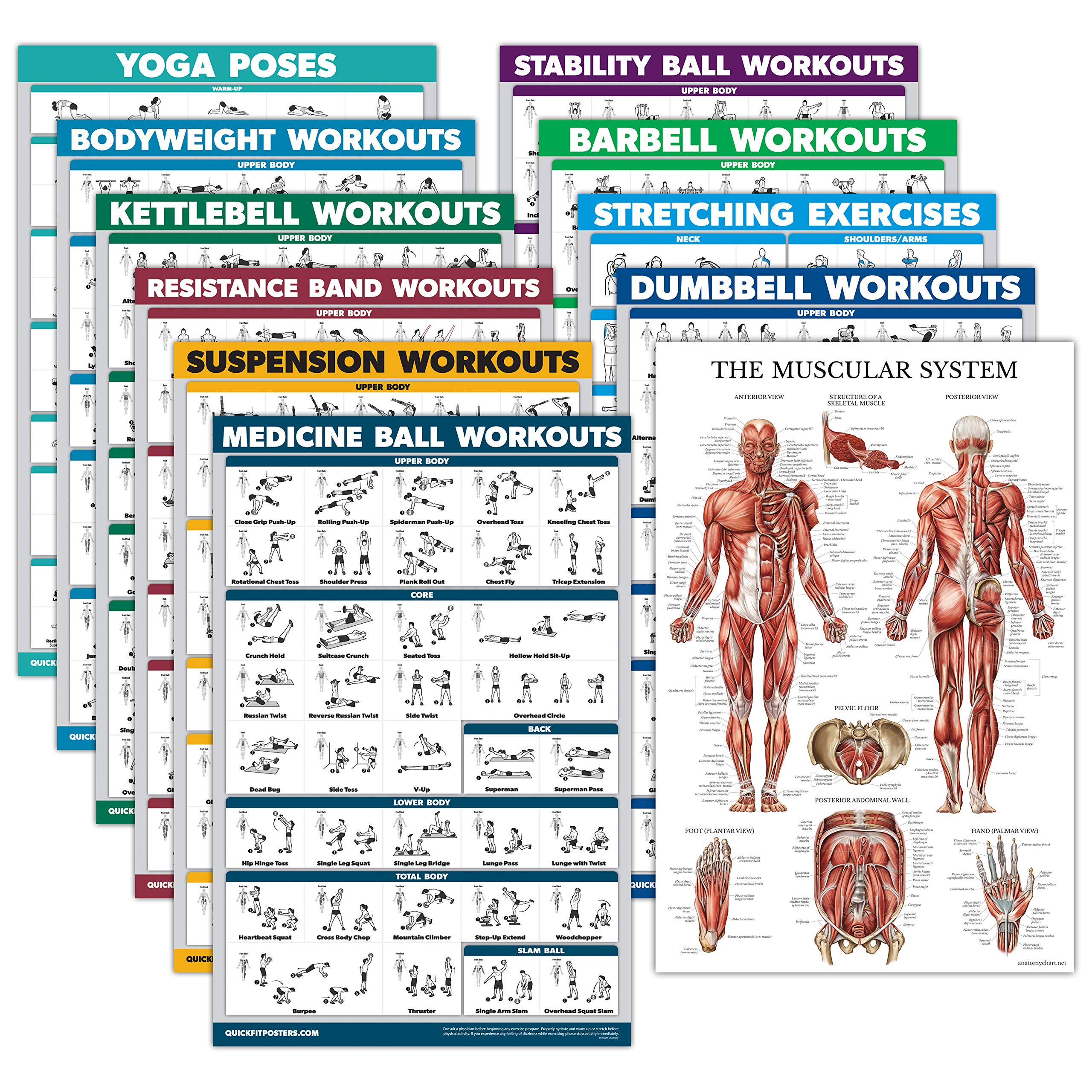 11 Pack - Exercise Poster Set: Dumbbell, Suspension, Kettlebell, Resistance Bands, Stretching, Bodyweight, Barbell, Yoga, Exercise Ball, Muscular System, Medicine Ball (LAMINATED, 18" x 24")