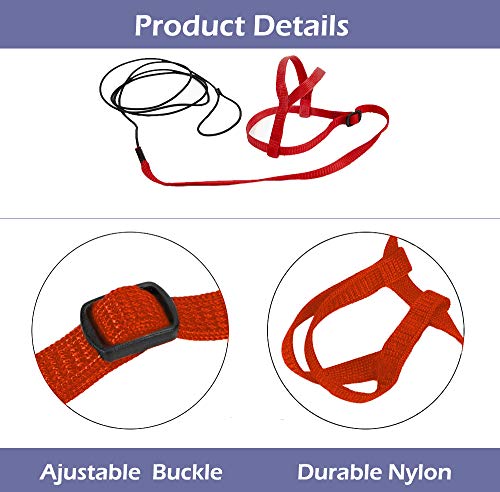 SZSJBK Bird Harness, Adjustable Parrot Nylon Leash with Anti-bite Design for Outdoor Activities Training, Suitable for Eastern Bluebonnet Parrot, Cockatoo, Parakeet, Doves 6.2ft (S)