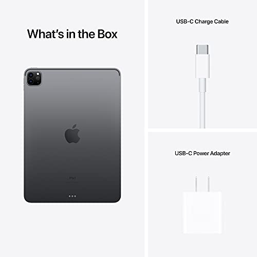2021 Apple 11-inch iPad Pro (Wi-Fi, 2TB) - Space Gray