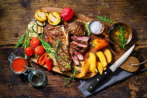 Premium 8-Piece German High Carbon Stainless Steel Serrated Steak Knife Set, Full Tang Steak Knives