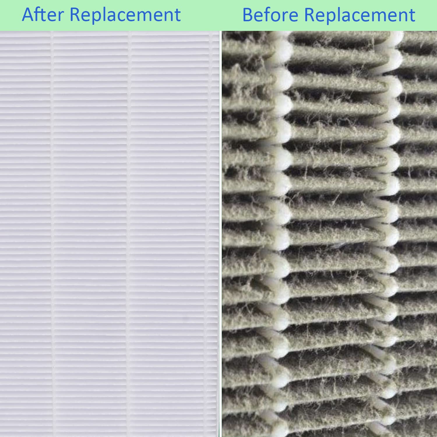 1512HH Filter, Compatible with Coway air Purifier AP-1512HH,AP-1512HH-FP,AP-1518R,AP-1519P filter Set 1 True HEPA Replacement Filter, With 4 Carbon Filters for AP1512HH Air Purifiers 3304899