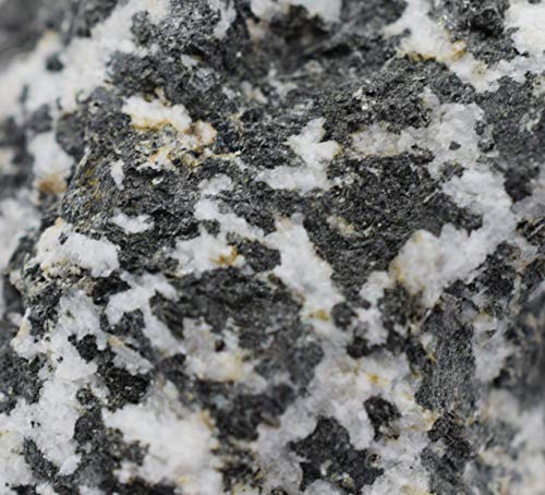 6PK Raw Diorite, Igneous Rock Specimens - Approx. 1" - Geologist Selected & Hand Processed - Great for Science Classrooms - Class Pack - Eisco Labs