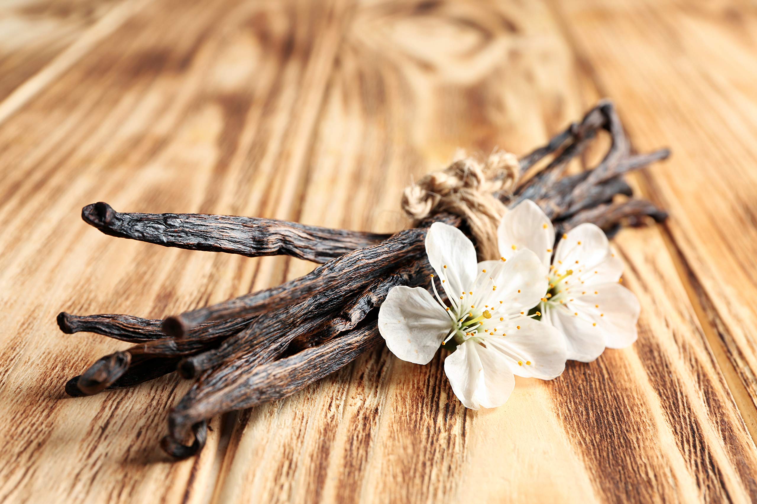 10 Vanilla Beans - Whole Extract Grade B Pods for Baking, Homemade Extract, Brewing, Coffee, Cooking - (Tahitian)