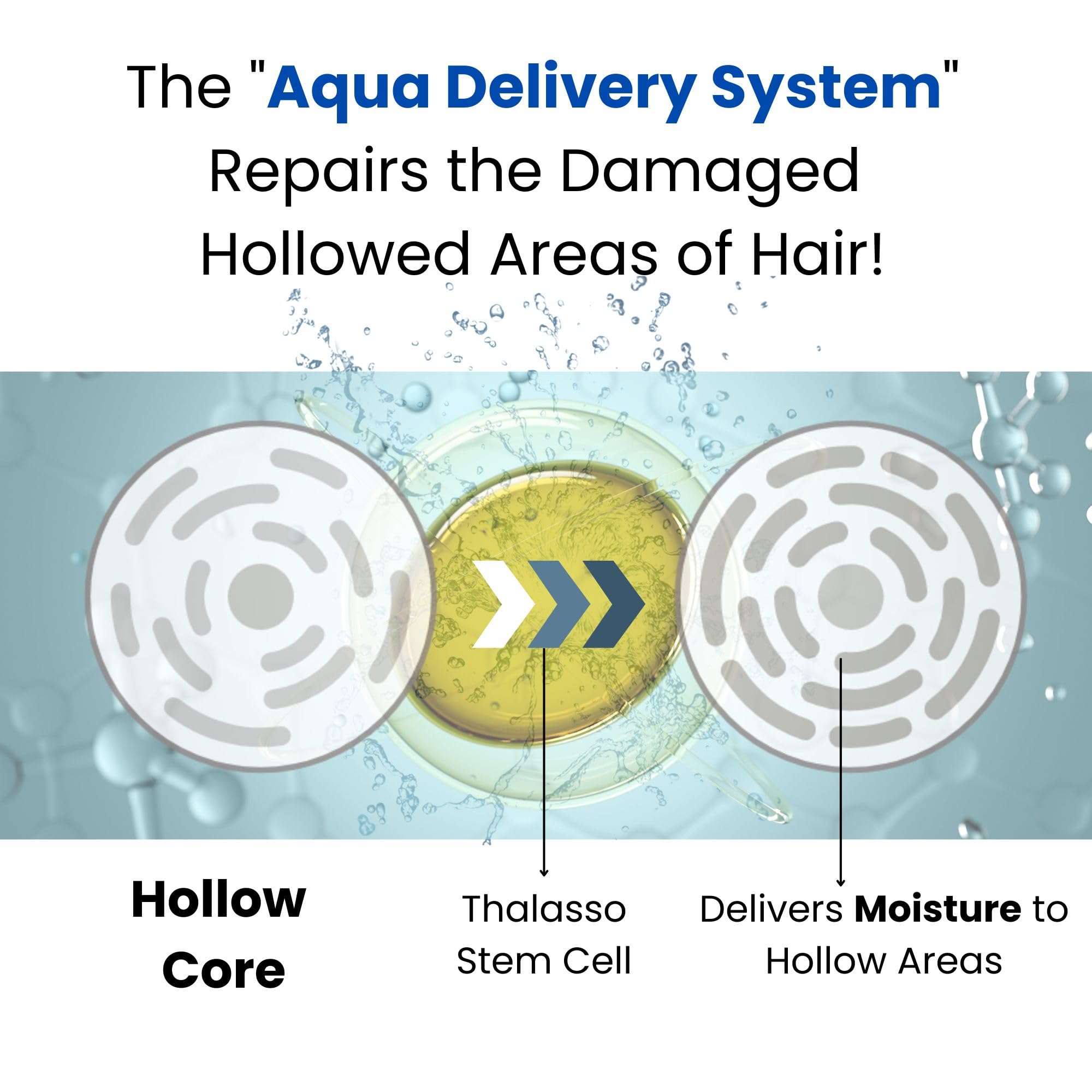 8 THE THALASSO Smooth Series: Normal to Oily Shampoo, Unique Thalasso Stem Cells with Deep Sea Water & Marine Collagen, Chemical-Free, Moisturizing & Smoothing, 475mL /16.06 fl oz