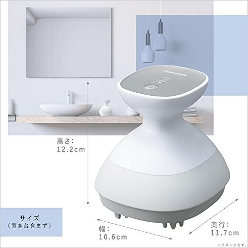 Panasonic EH-HE9G-S [Scalp Esthetic Salon Touch Type Spiral Silver Style] AC100-240V Shipped from Japan 2021 Released