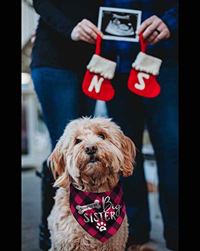 Big Sister Dog Bandana, Reversible Plaid Triangle Bibs Pet Scarf