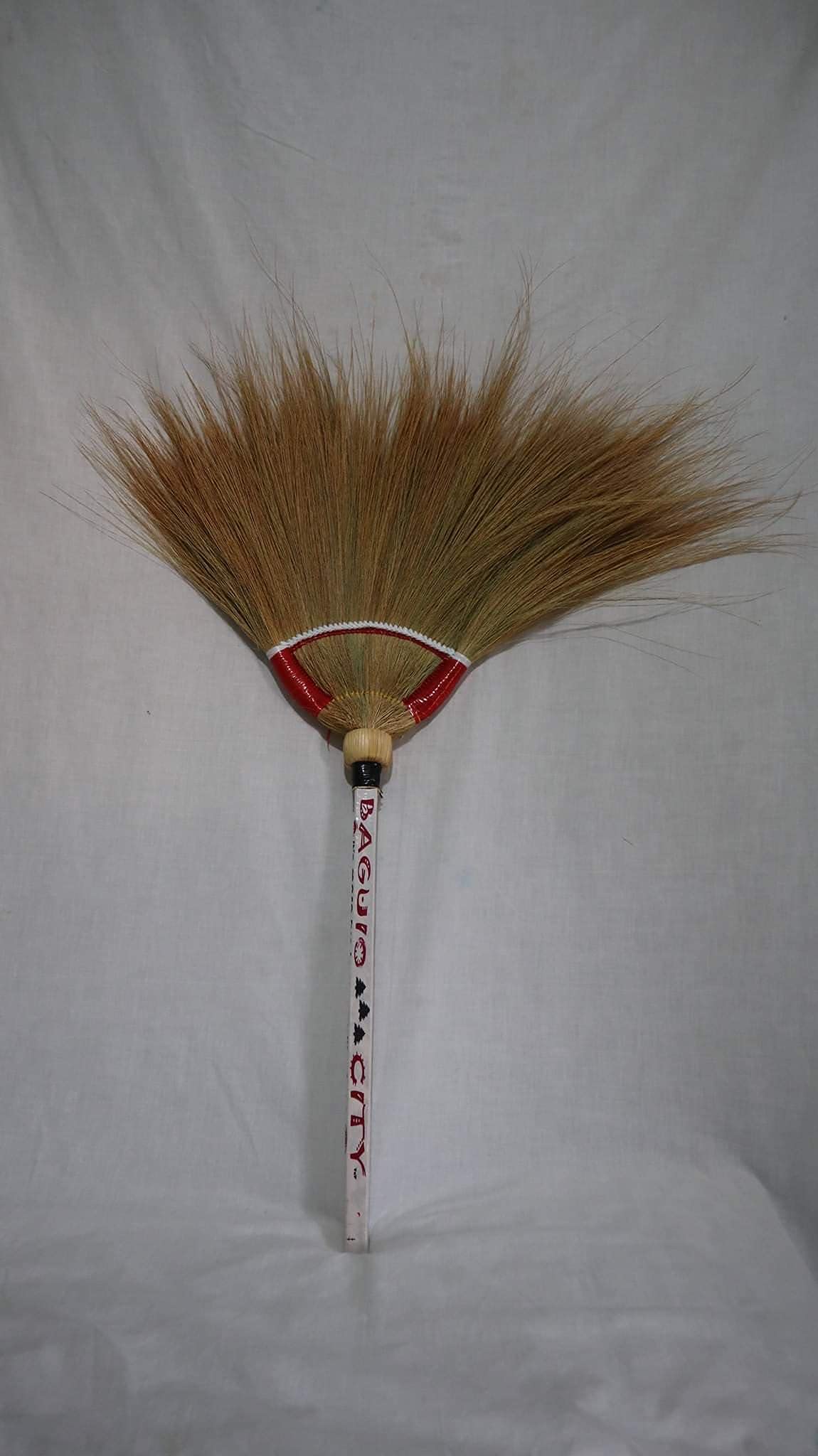 Walis Tambo Baguio