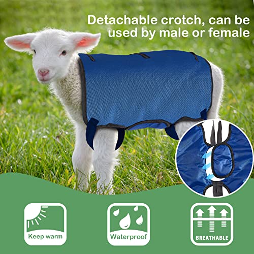 2 Pcs Goat Coat for Winter Goat Blanket Cold Weather Waterproof Windproof Goat Jacket Blanket to Keep Goat Warm Lamb Coat with Straps Thickened Belly Protection, Blue