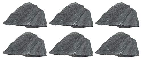 6PK Raw Slate, Metamorphic Rock Specimens - Approx. 1" - Geologist Selected & Hand Processed - Great for Science Classrooms - Class Pack - Eisco Labs