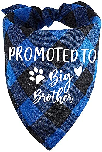 Family Kitchen Promoted to Big Brother Blue Plaid Dog Bandana, Gender Reveal Photo Prop Triangle Pet Scarf Scarves Decorations Accessories, Pet Scarves Dog Lovers Gift