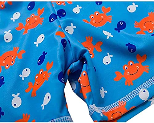 Baby Toddler Boys Two Pieces Swimsuit Set Boys Bathing Suit Rash Guards with Hat UPF 50+ FBA (Crab-c, 6-9 Months)