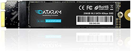 Dataram 256GB SSD Solid State for 11" & 13" MacBook Air Late 2010 Mid 2011 /A1370 A1369