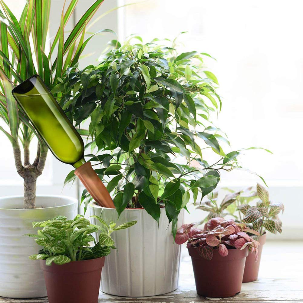 Sedmoon Plant Watering Spikes 6 Pack Self Watering Terracotta Spikes Automatically Water Your Indoor and Outdoor Plants While On Vacation