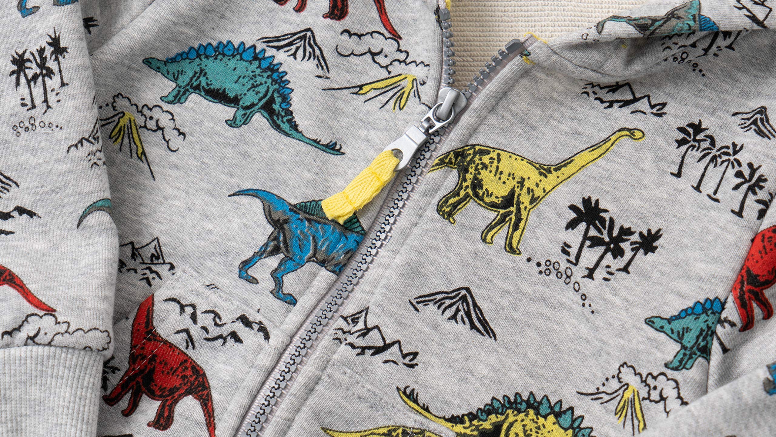 HUAER& Baby Boys' Cotton Cartoon Fox Zip Front Jacket Hoodie Sweatshirt (2-3T, Dinosaur)