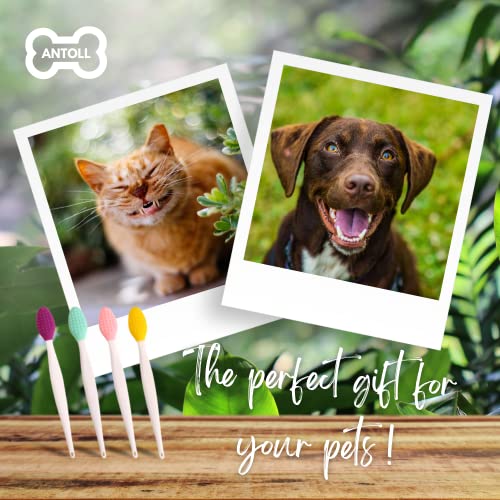 ANTOLL Pets Silicone Soft Head Dog cat with Toothbrush Dog cat Teeth Cleaning Health Care(4-Parks)